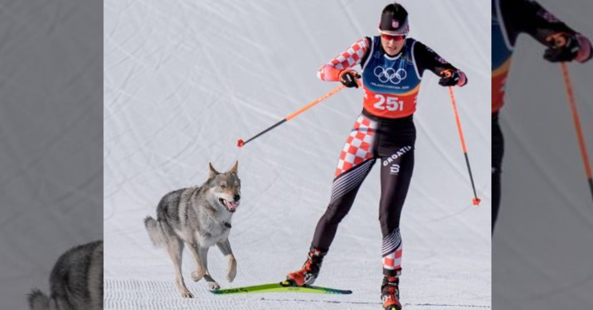 How Did a Dog End Up Crossing the Finish Line at the Milan Cortina ...